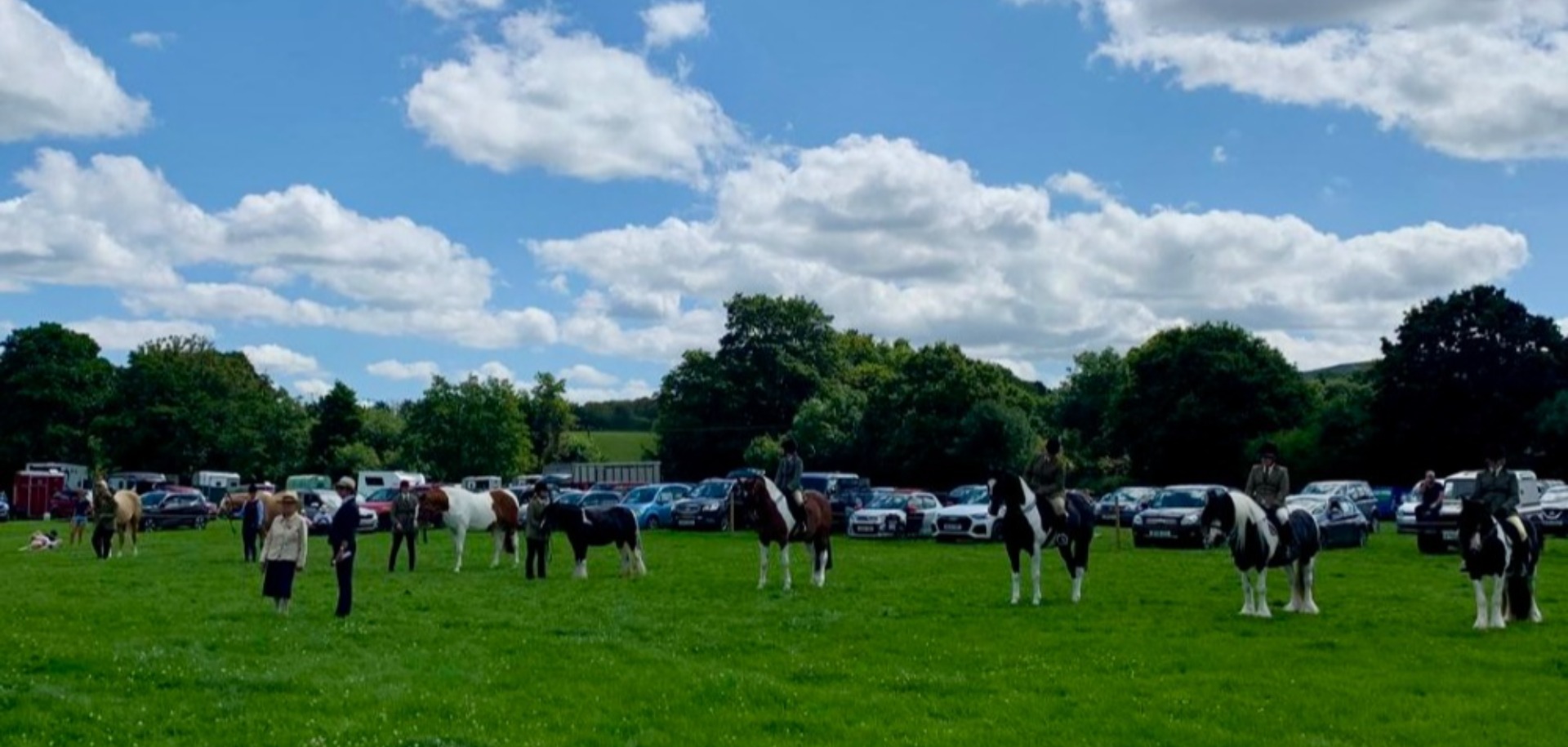 Porlock Horse Show horse & pony classes